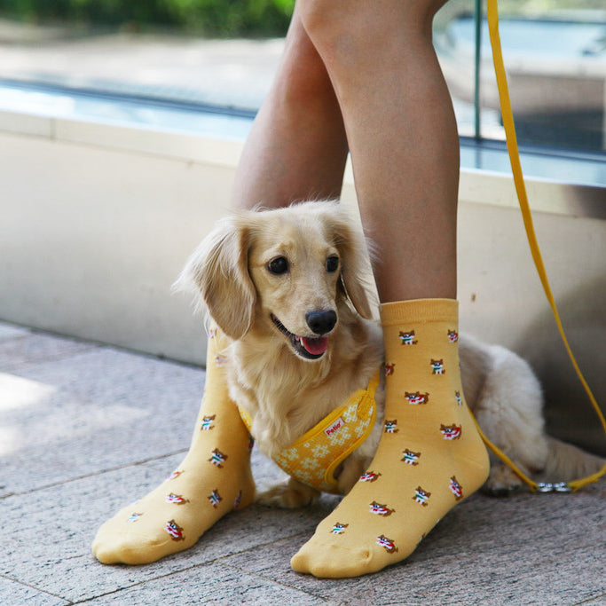PLAYFUL SOCKS - Classy Playful Business Socks – Playful Socks